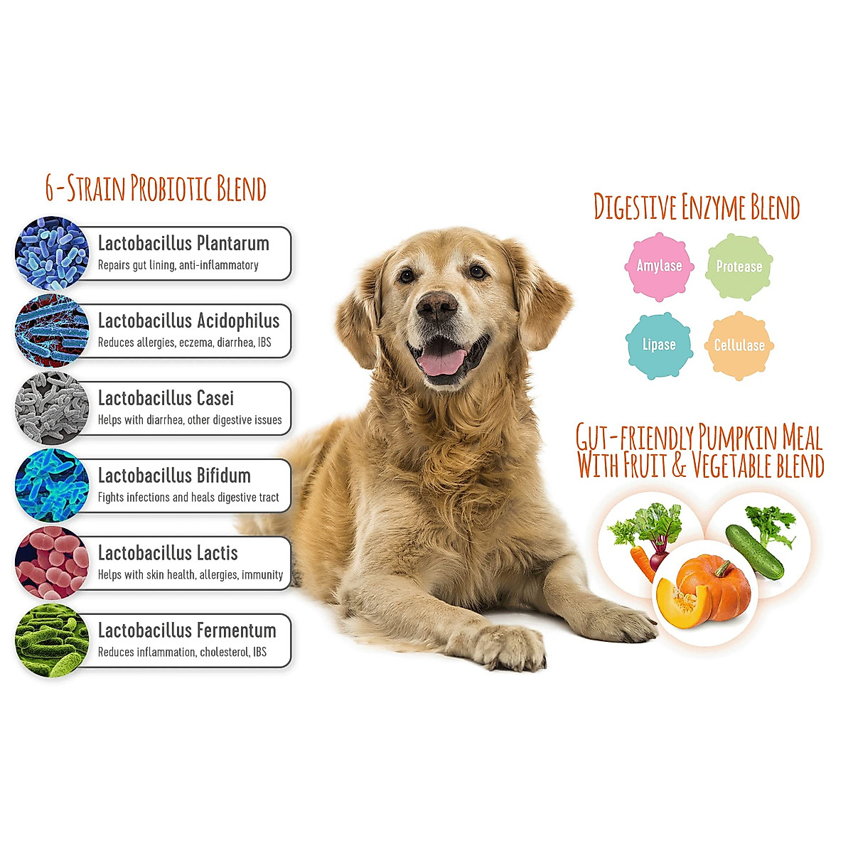 Extend® Probiotics for Dogs - Digestive Health, Immune, Allergy & Skin Support - Reduce Gastric Distress, Bloating, Constipation, Diarrhea - Natural, Clinically-Proven, Made in USA