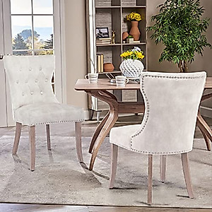 Creek Vista Tufted Velvet Dining Chairs, Upholstered Fabric Dining Room Chairs with Nailhead Trim, Stylish Kitchen Dining Room Chairs with Wood Legs for Living Dining Room, Beige