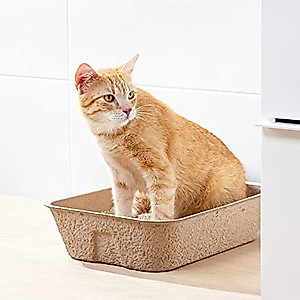 Navaris Disposable Cat Litter Trays (Pack of 5) - Cardboard Liner Tray for Cats Made of 100% Paper - Use Alone or As Box Liners - 15.9" x 11.8"