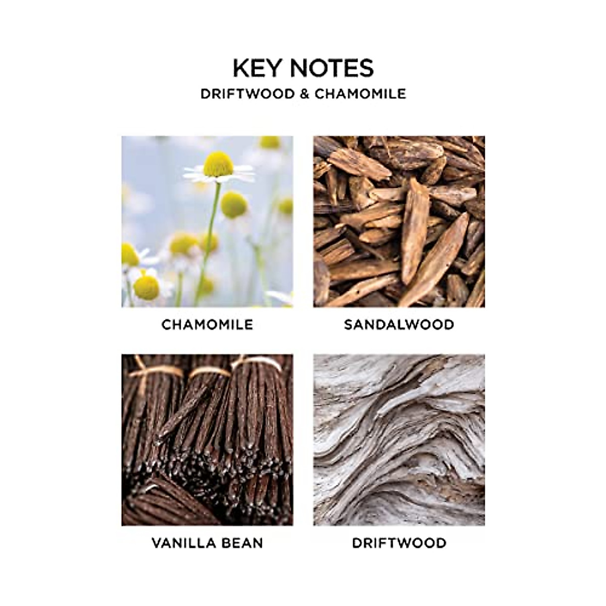 NEST Fragrances Driftwood & Chamomile Scented Classic, Long-Lasting Candle for Home with Rattan Sleeve, 8 Oz