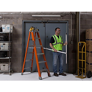 Louisville Ladder 6-Foot Fiberglass Step Ladder, 300-Pound Load Capacity, Type IA, FS1506