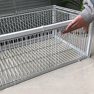 Andowns Big Foldable Galvanised Pigeon Dove Bird Trap Cage Feral Pigeon Humane Way with The one-Way Entrance Trapping Pigeons Doves in Cages 1 (40x30x26cm / 17x13x10inch 4 Entrances)