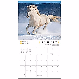 National Geographic Horses 2021 Wall Calendar
