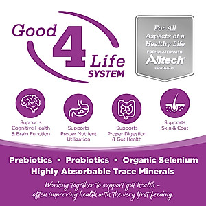 NutriSource Grain Free Puppy Food for Large Breeds, Turkey, Whitefish and Menhaden Fish Meal, 12LB