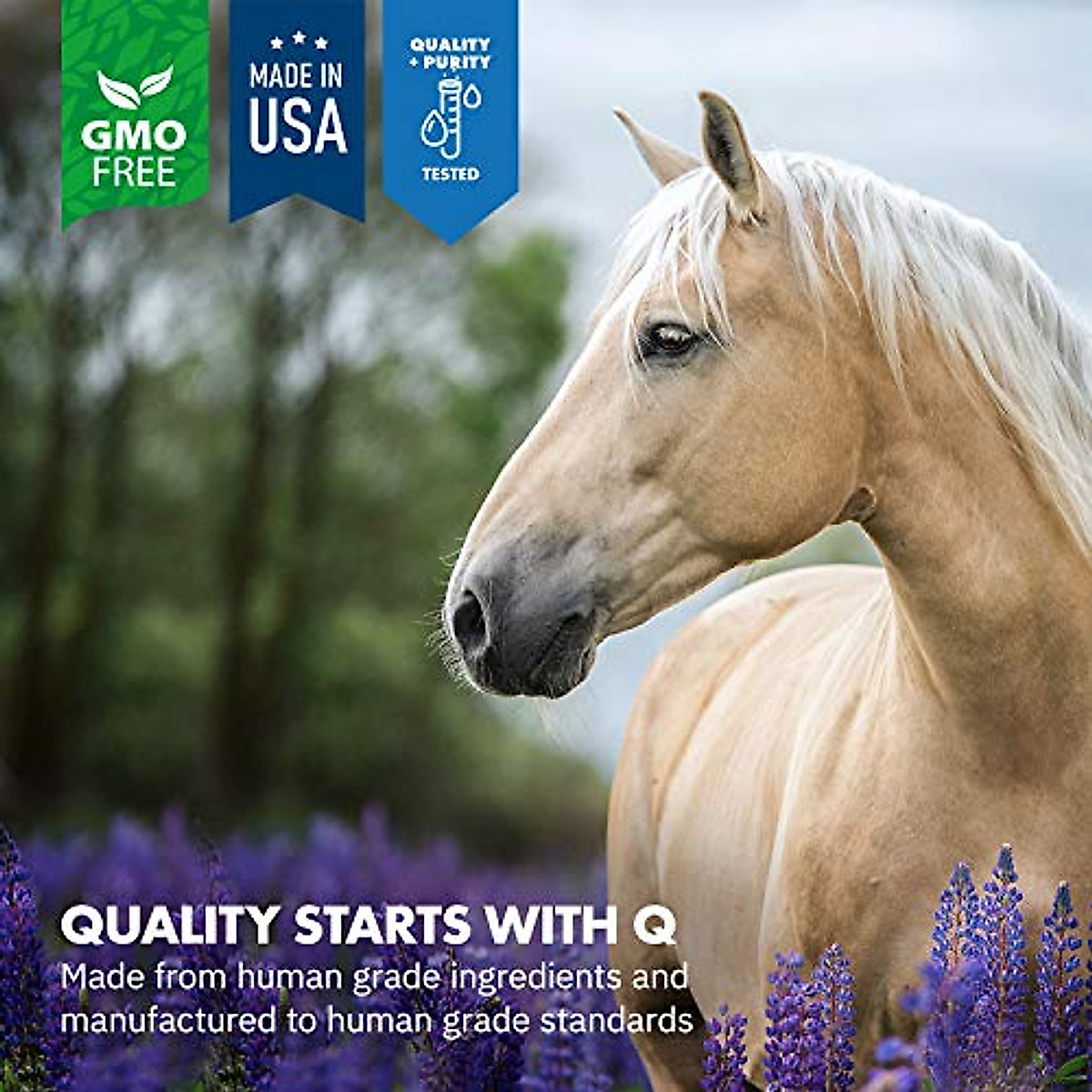 Equa Holistics HealthyGut™ Probiotics for Horses Dietary Supplement, All-Natural Digestive System Maintenance Formula (30 Days)