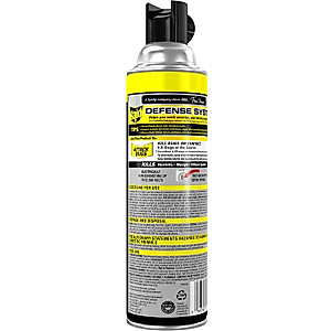 Raid Wasp and Hornet Killer, 17.5 OZ (Pack of 3)