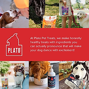 Plato Pet Treats Air Dried Dog Treats Lamb Mini Thinkers Sticks, Natural Dog Treats, Real Meat, Air Dried, Made in the USA, 6oz