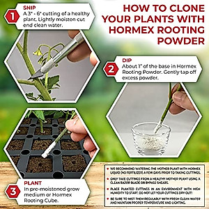Hormex Rooting Powder #1,3,8 Bundle - for Easy to Moderately Difficult to Root Plants - Fast & Easy - Free of Alcohol, Dye, Gel & Preservatives for Healthier Roots, 63g