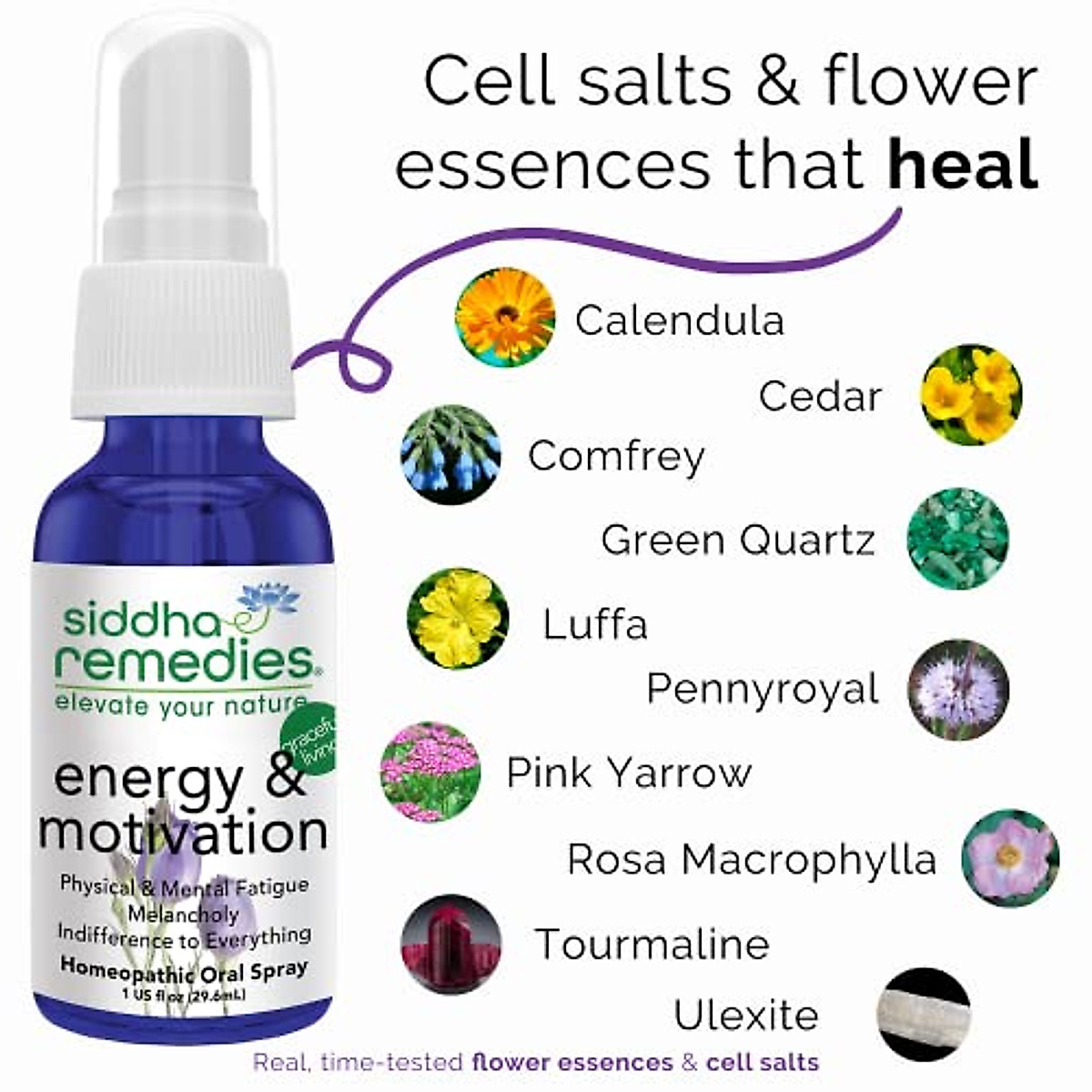 Siddha Remedies Energy & Motivation Spray | 100% Natural Homeopathic Remedy with Traditional Homeopathic Ingredients, Cell Salts and Flower Essences | No Alcohol No Sugar