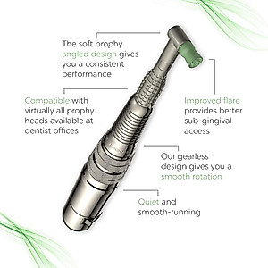 Brighter Image Lab Bilistic Pro Series Dental Tooth Polisher | Professional Dental Teeth Cleaning & Bleaching Modern Electric Toothbrush Corded | Removes Buildup and Freshens Breath