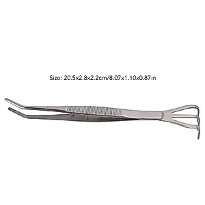 Bonsai Root Rake, 3Prong Nonslip Stainless Steel Root Rake, Ergonomic Handle for Loose Soil for Potted Plant (Bent)