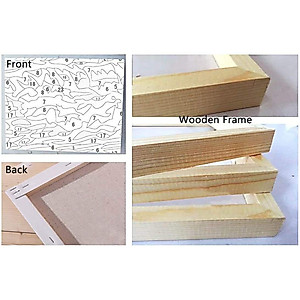 16x20" Common Loon Swimming Lake Waters Paint by Numbers Kits for Adults Kids DIY Wall Art Picture Framed Canvas Oil Painting Set Digital Paintworks for Beginners