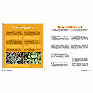 Plant Partners: Science-Based Companion Planting Strategies for the Vegetable Garden