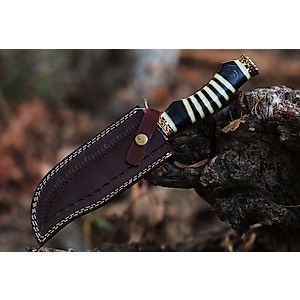 12.5 Inch long Hunting knife, Collectible knife, Scale is made of Camel bone and dollar wood, embellished with Engraved brass finger guard and pommel, Hand forged Twist pattern Damascus steel blade, Comes with Leather sheath