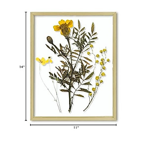 Frametory, Floating Picture Frame 11x14 - Gold Aluminum Metal Photo Frame - Real Glass of Front - for Wall Mount Displays