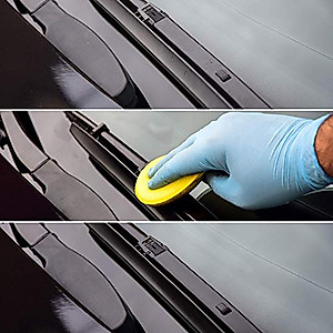 Carfidant Trim & Plastic Restorer - Restores Faded and Dull Plastic, Rubber, Vinyl Back to Black! Protectant and Sealant from UV & Dirt - Easy to Apply!…