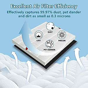 C545 Replacement Filter S Fit for Win-ix C545 Air Puri-fier, 2 Pack H13 Ture HEPA Filter and 8 Pack Activated Carbon Filters, Replace Part # 1712-0096-00 and 2522-0058-00