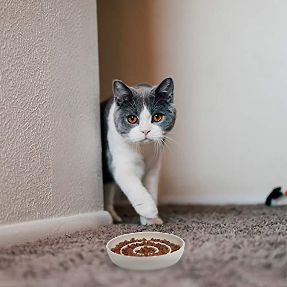 SLSON Cat Slow Feeder Bowl,Ceramic Slow Feed Cat Bowls Heavy and Shallow Wisker Stress-Free Pets Dish for Kittens Small Pets Wet Food,White