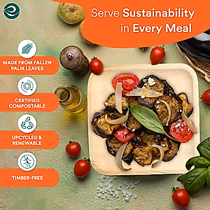 ECO SOUL Compostable 6 Inch Small Palm Leaf Round Plates (50, 6" Square Plates)