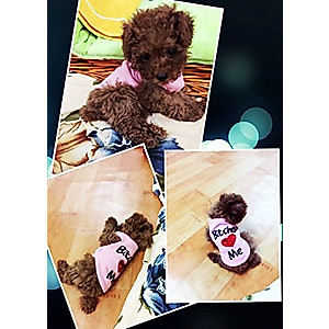 DroolingDog Pet Dog Clothes Puppy Shirt Dog Sweater Bitches Love ME Dog T-Shirt for Small Dogs, Large, Pink