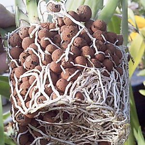 Pulovin 2.5 lbs LECA Balls for Indoor Plants, 4-16mm Clay Pebbles for Plants Hydroponic, Aquaponics, Natural Leca Balls for Soil Root Development, Orchid Potting Mix