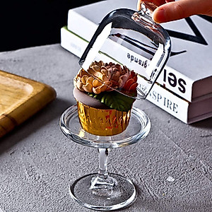 Mini Cake Stand Glass Mini Cupcake Display Plate with Dome Cover Pedestal Dessert Stand Holder for Wedding Birthday Party Supplies (Plain)