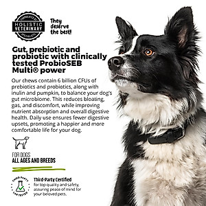 ANP Advanced Prebiotic & Probiotic Natural Chews for Dogs - No Animal Proteins, Gut Flora Health, Clinically Studied ProSEB Multi® for Digestive Health, Including Diarrhea Relief and Bowel Stability