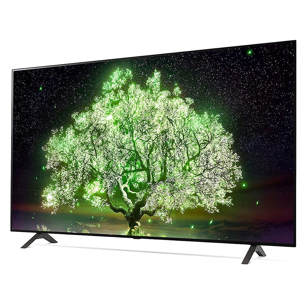 LG OLED65A1PUA 65 Inch A1 Series 4K HDR Smart TV with AI ThinQ Bundle with Premium 2 YR CPS Enhanced Protection Pack