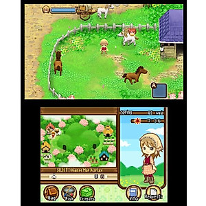 Harvest Moon: Tale of Two Towns - Nintendo 3DS