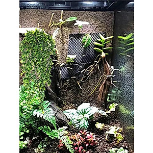 Woyrise 2Pack Reptile Plants, Terrarium Hanging Plants Vines Artificial Leaves Habitat Decorations with Suction Cup for Bearded Dragon Lizard Snake Geckos Chameleon Hermit Crab