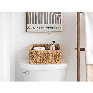 StorageWorks Wicker Baskets for Storage