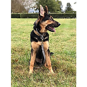 JiePai Military Dog Collar Adjustable Nylon k9 Tactical Dog Collar with D-Ring & Buckle Collars for Medium Large Dogs (Ranger Green,L)