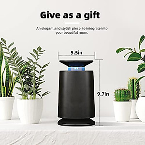 Upenjok Fly Trap Indoor - Killer for Mosquito, Gnat, Fruit Flies, Moth - Non-Zapper Traps for Home with 10 Strong Sticky Glue Boards and 5 Mosquito Luring (Black)