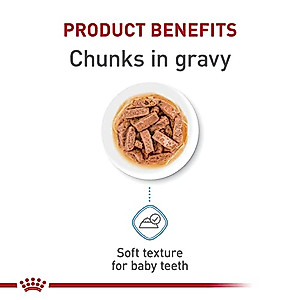 Royal Canin RCBHN Lab Puppy & Large Puppy Wet Dog Food