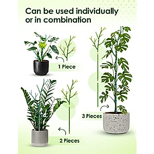NiHome Comprehensive Plant Support Stake Set of 6 - Durable, UV Resistant 39.5" Stakes with Extension Poles, Orchid Clips & Plant Ties for Climbing Indoor & Outdoor Plants, Monstera, Pothos & More