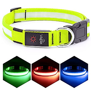 VIZPET LED Dog Collar USB Rechargeable 100% Waterproof Adjustable Light Up Dog Collar Super Bright Safety Light Glowing Collars for Dogs (Green, Medium)