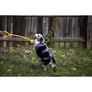 Jersey Dog Co Ultimate Dog Tug Toy, Dog Pull Toy, Tug of War Dog Toy, Safe Dog Chew Toys, Made in The USA Rubber Dog Toy 23” Long