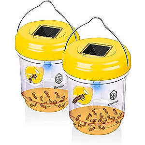 Petoor Wasp Trap Outdoor - Solar Powered Killer Effective Hornet for Wasps, Hornets, Insects, Yellow Jacket Fruit Fly Pack of 2, 2022 yellow