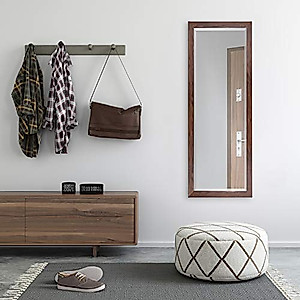 DesignOvation Beatrice Transitional Framed Panel Wall Mirror, 19 x 51, Walnut Brown, Chic Full Length Mirror for Wall