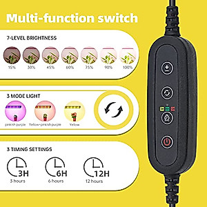 Mini Greenhouse with Grow Light , 4 Tier 27.2"L×19.9"W×61.8"H Portable Greenhouse with Zippered PVC Cover for Seed Starting Trays , Dimmable 2ft 60W Plant Light for Indoor Plant with Timer by Bstrip