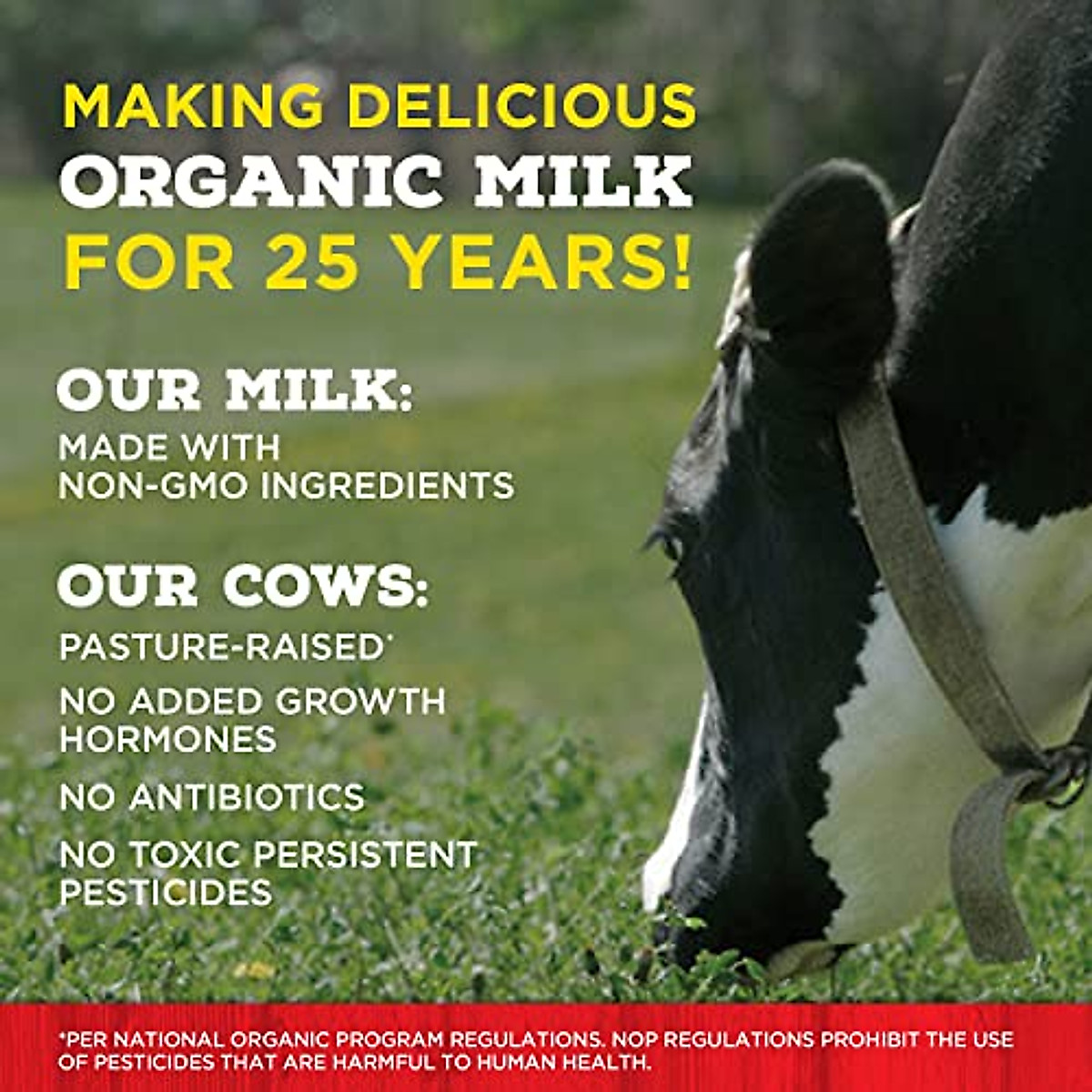 Horizon Organic Growing Years Low Fat Yogurt Pouch with 50mg DHA Omega-3 and Choline, Strawberry, 3.5 oz., 4 Pack