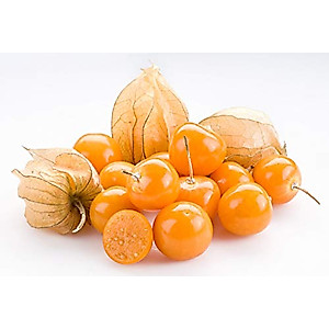 Heirloom Ground Cherry Tomatillo Heirloom Seeds - Physalis Peruviana - 250 Seeds, 1/2 Gram - B270