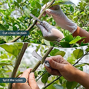 BaiCarre 102pcs Garden Tool Set,Grafting Knife is with 2-Blades Design (Curved and Straight) for Pruning,100 Pcs Plastic Plant Labels,2PCS Grafting Tape