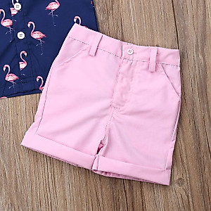 VISGOGO Toddler Baby Boy Flamingo Short Sleeve Button Down Shirt & Casual Shorts Set Summer Outfits 1-6 Years Clothes