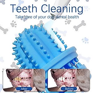 Lykani Dog Chew Toys for Small Dogs, Tough Dog Toys for Aggressive Chewers, Indestructible Durable Interactive Dog Toys, Rubber Dog Toys for Puppy Christmas Easter Birthday Gifts, Blue