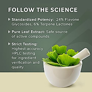 Prominent Nutrition Ginkgo Biloba 120mg - Ginkgo Biloba Leaf Extract, Herbal Supplements to Help Support Memory & Focus- Vegan, Non-GMO, Gluten-Free, Soy-Free, 60 Day Supply