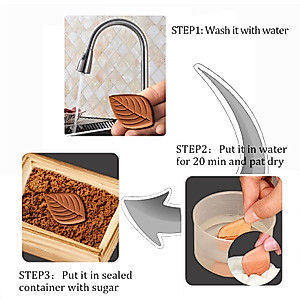 Brown Sugar Keeper Saver, 6pcs Terracotta Sugar Saver Keeps Brown Sugar Soft or Keep Dry Food Storage Containers Leaf Design