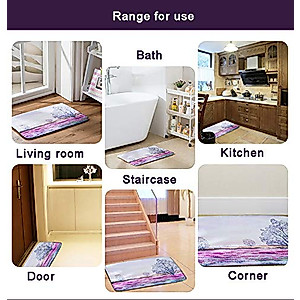 Wine Bottle and Fruit Grape with Wooden Indoor Doormat Durable Welcome Front Door Mats Entryway Bath Rugs Non-Slip Absorbent Area Rugs Resist Dirt Carpet for Room Decor 20 * 32in/50 * 80cm