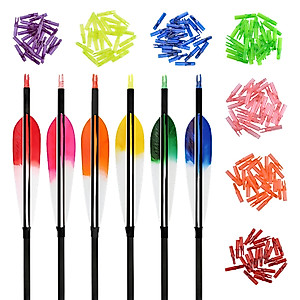ZSHJGJR Arrows Nocks, 6.20mm / .244 inch Inside Diameter Plastic Nock for Compound & Recurve Bow Archery Accessories (3 Pack (72 Pcs), Cool Colours, .244)