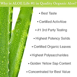 Aloe Life - Personal Gel, Intimate Moisturizer, Organic Aloe Cream, Silky & Non-Staining Formula, Perfect For Menopause, Burn Treatment, Protects & Moisturize Skin, Skincare Gel, Fragrance-Free (4 oz)